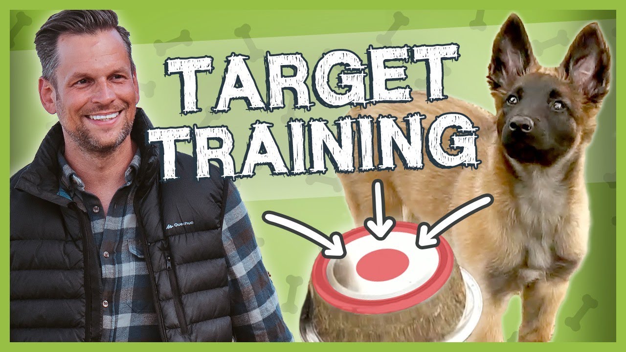 Targettraining - diese wichtigen Schritte musst du beachten | Der neue ...
